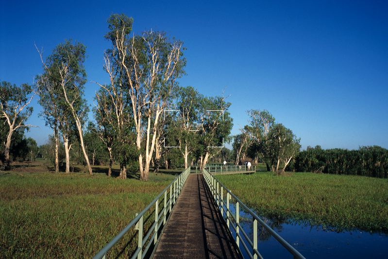 Australia | Northern Territory | Boardwalk in Yellow Water Wetlands ...