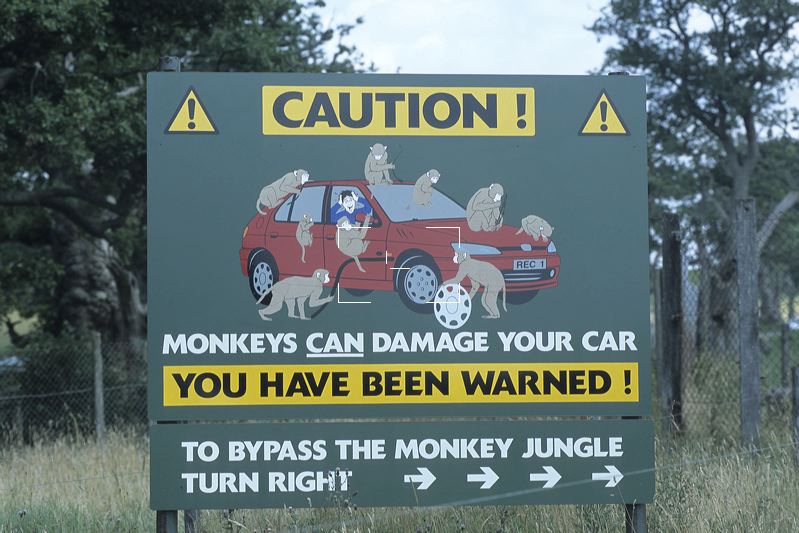 England | Monkey Warning Sign | UK-0160.tif