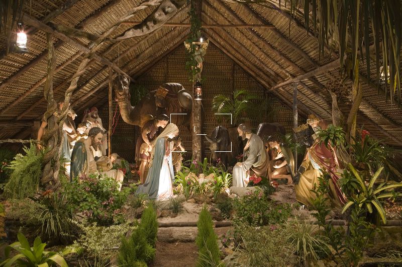 Brazil-Web | Tropical Nativity Scene | 2007-12-18-036.tif