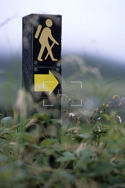 Ireland | Dingle Way Signpost | IE-0221.tif